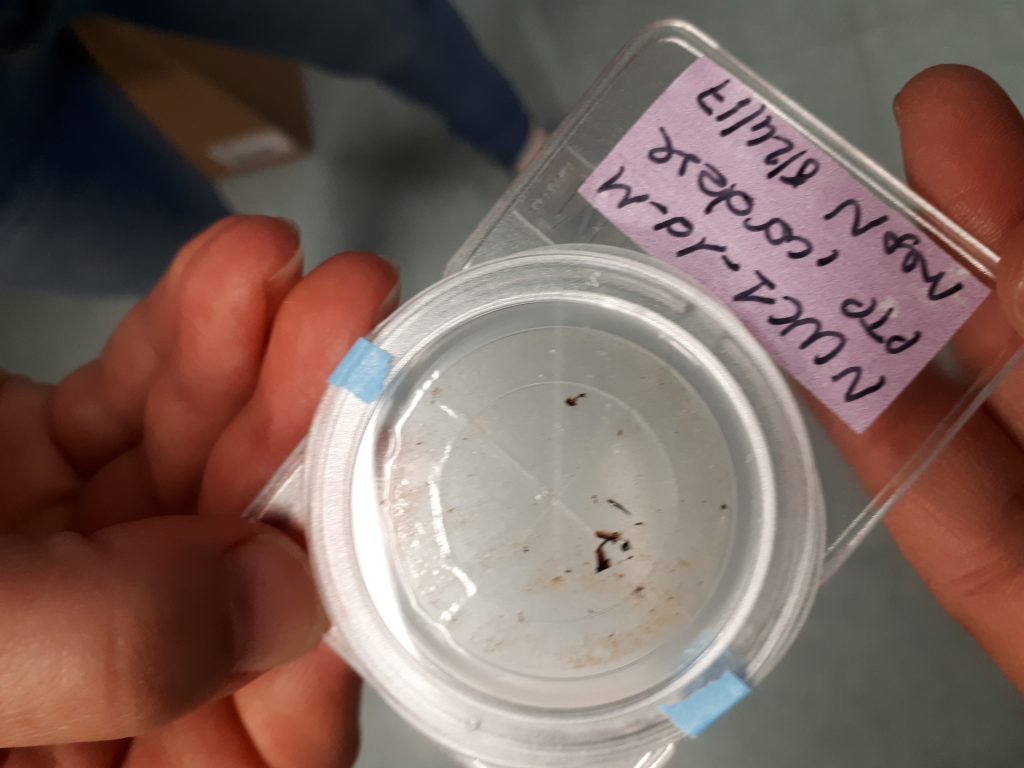Tour Summary: Coastal Ocean Research Institute – April 2018 – EMA of BC